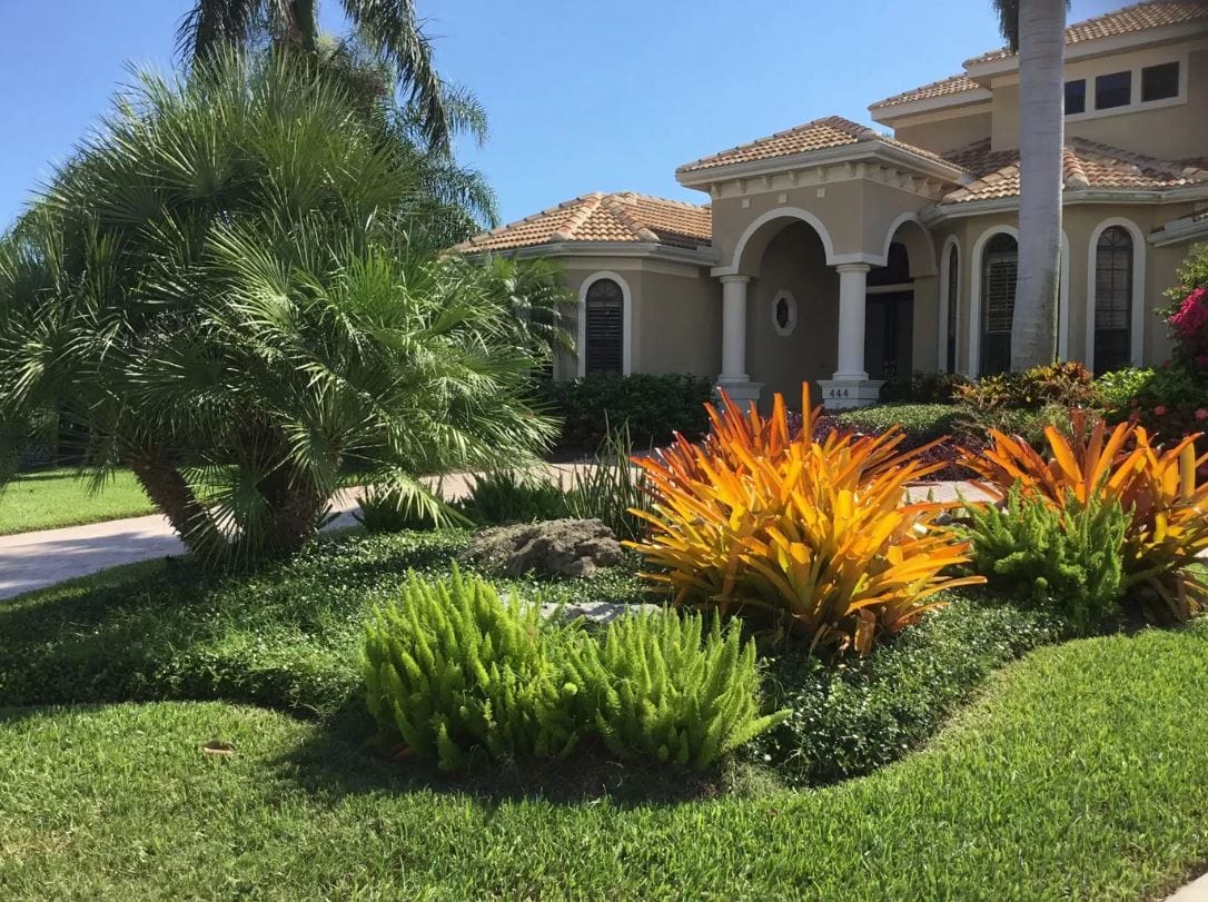 Prepping Your Landscape for 2025 | Lakewood Ranch Landscaping